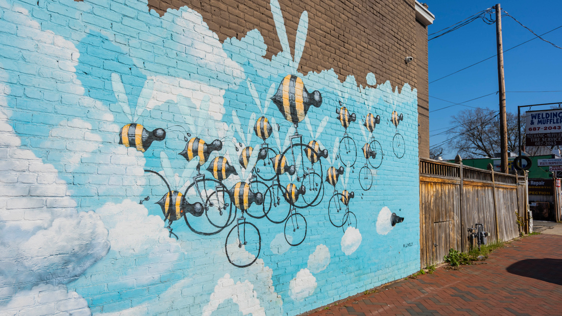 Richmond, VA Apartments | The 1805 | Residents