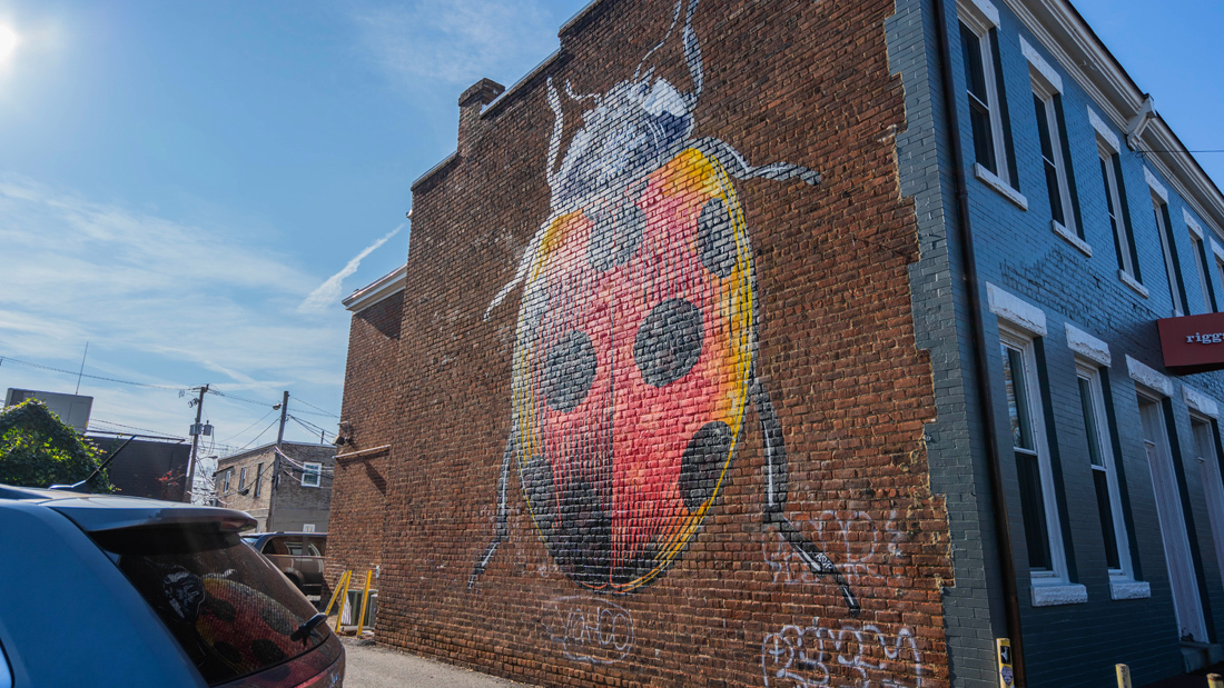 Richmond, VA Apartments | The 1805 | Residents