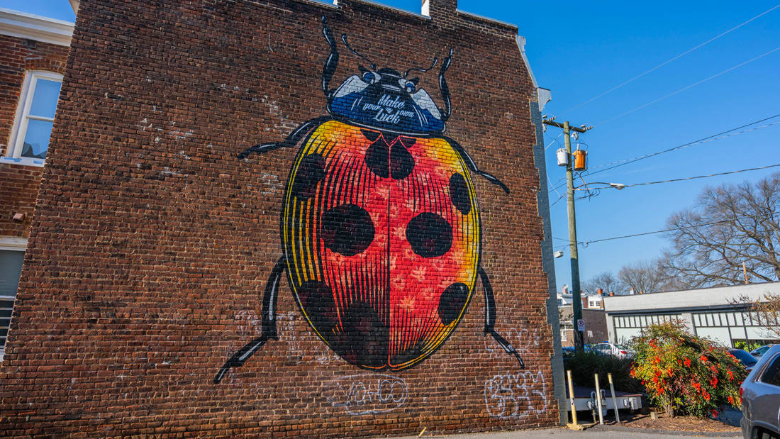 Richmond, VA Apartments | The 1805 | Residents